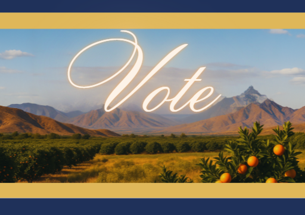 November 4, 2025 UDEL Election | County of Riverside Registrar of Voters